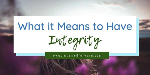 Integrity Meaning